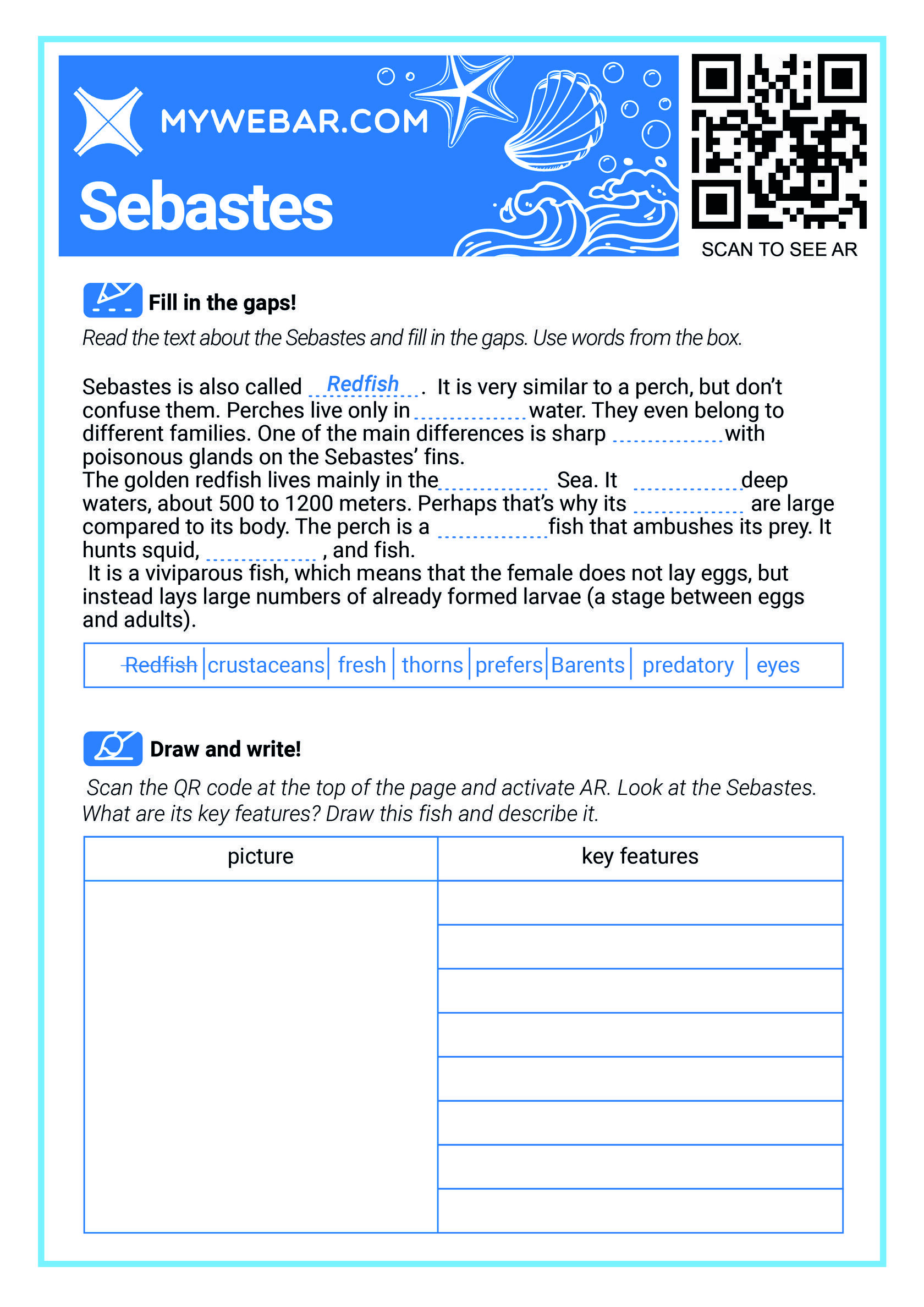 Sebastes