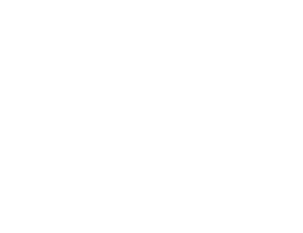 Not Normal Camp 2025