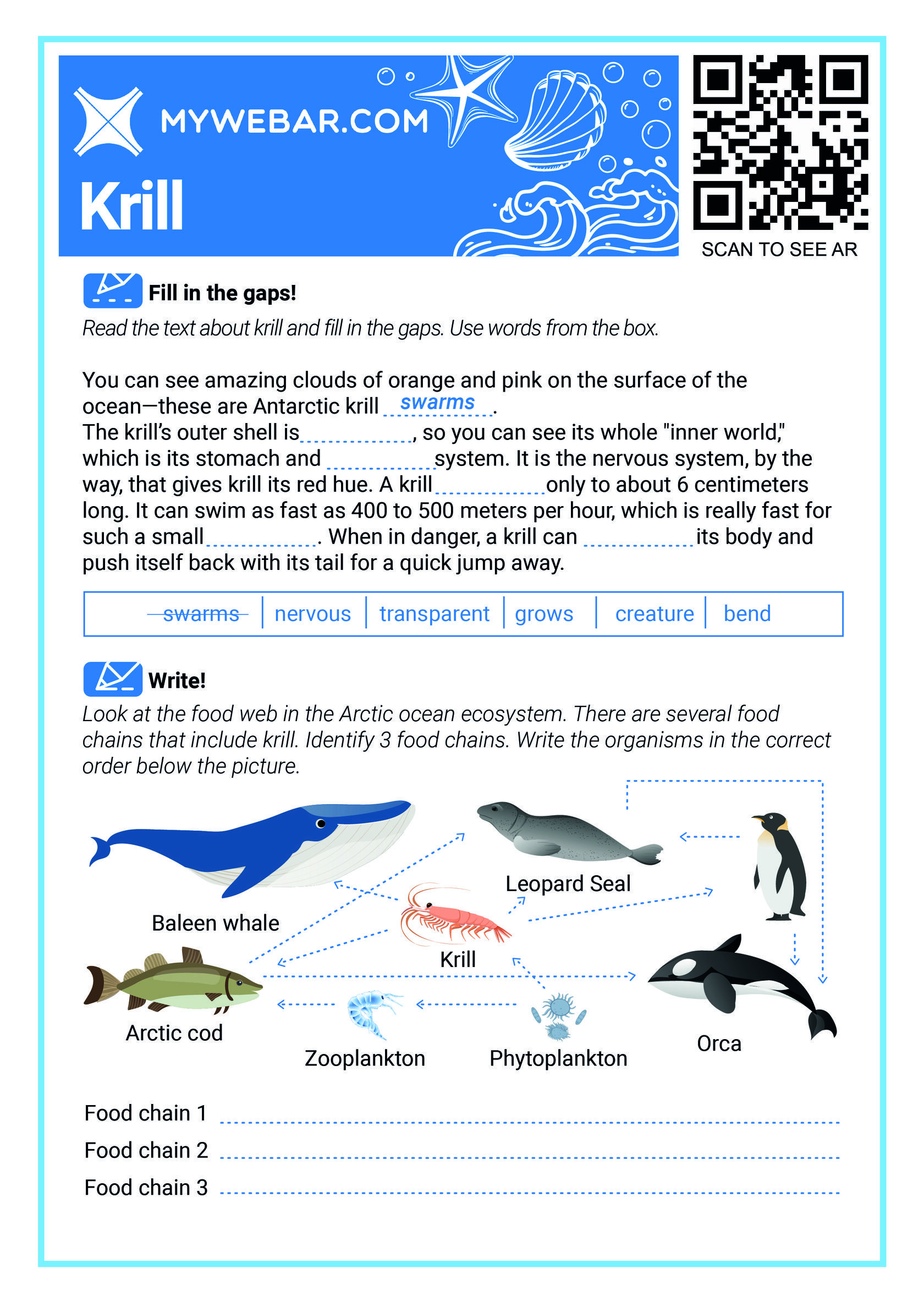Krill